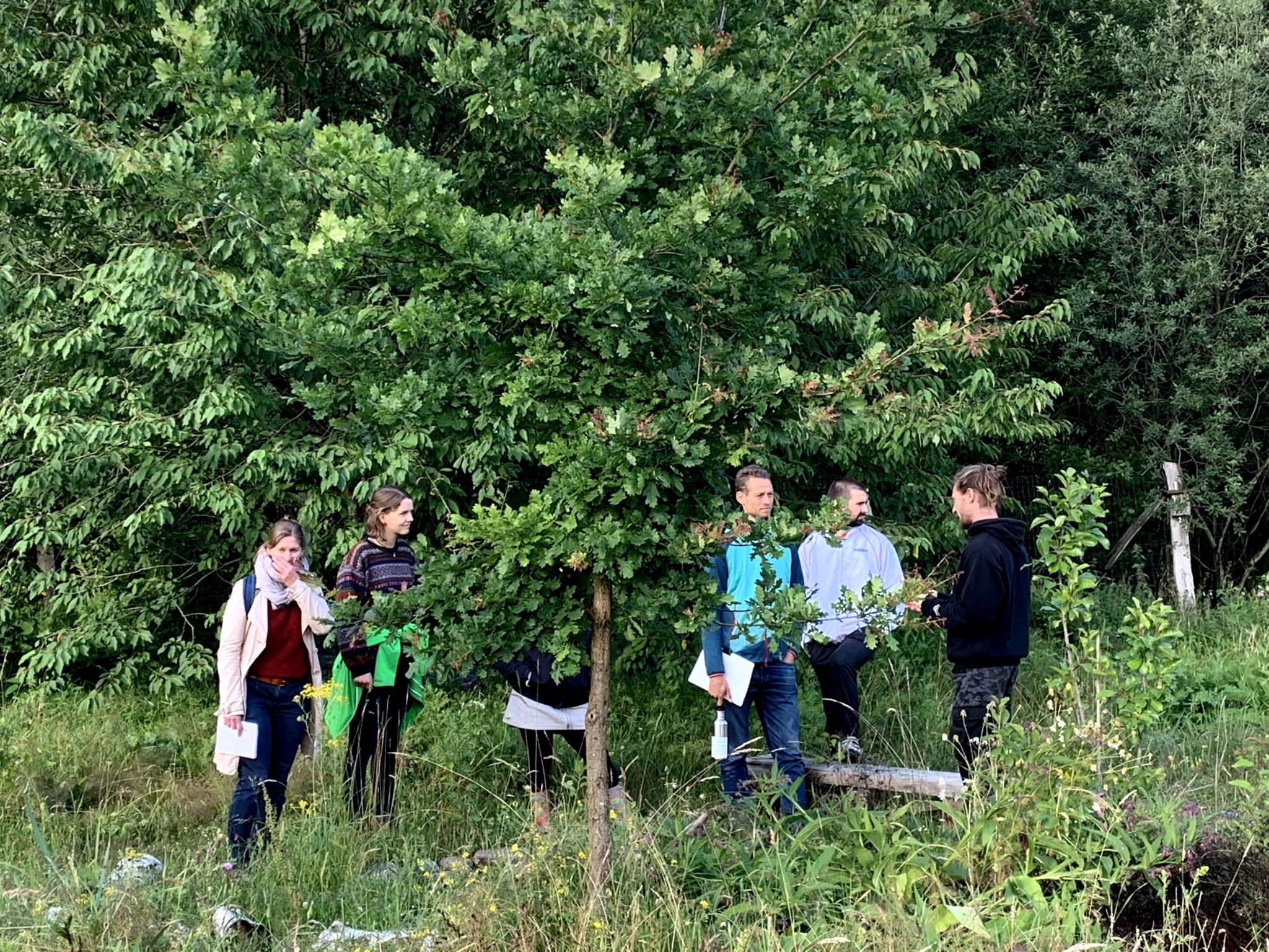 Waldgarten Nieklitz – Waldgartenwelten.de